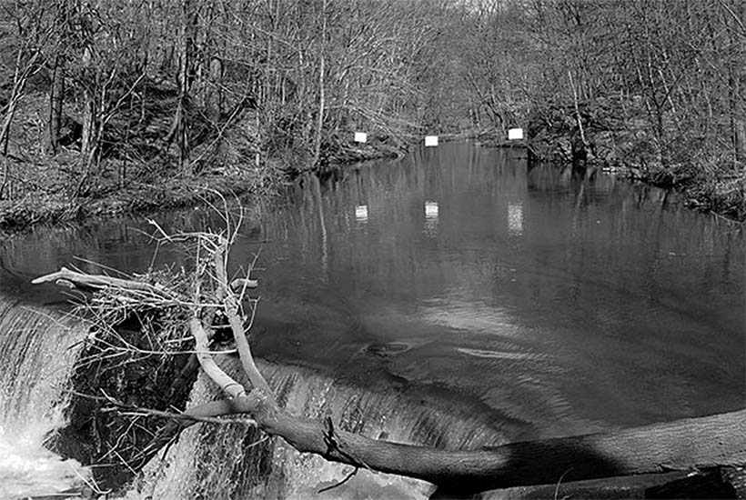 The Return of Starlight Park - MAS