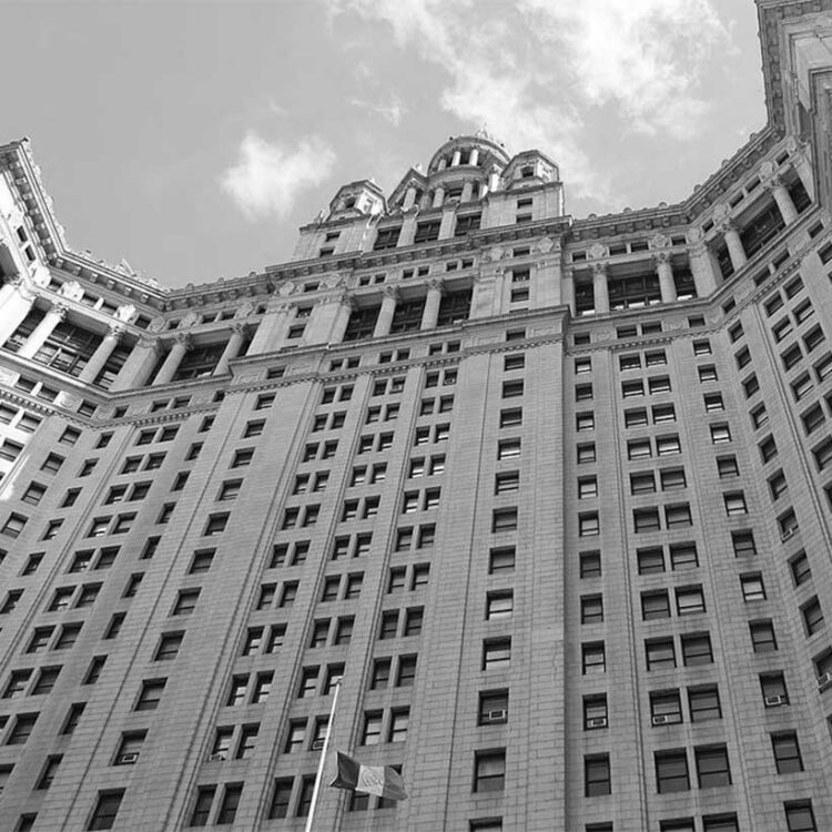 The Municipal Art Society of New York – Educating and inspiring New ...